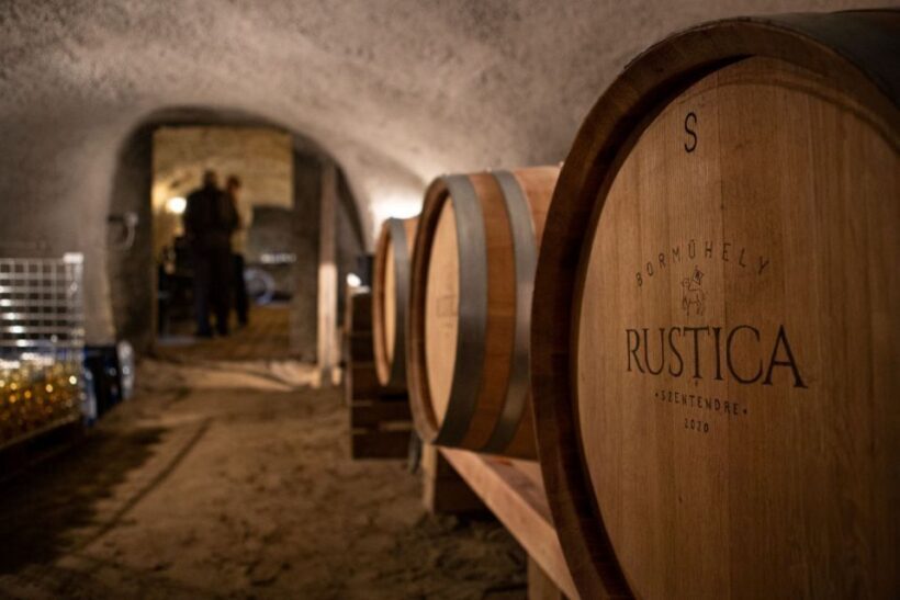 From Budapest: Szentendre Private Wine Tasting Tour - An Introduction to the Szentendre Private Wine Tour