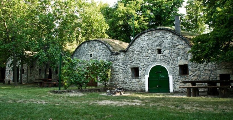 From Budpaest: Páty Wine Village Tour with Tastings - Practical Details & Tips