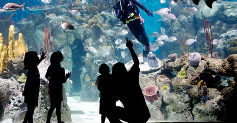 From Buenos Aires: Full-Day Temaiken Eco Park - The Realities of the Experience: What Travelers Are Saying