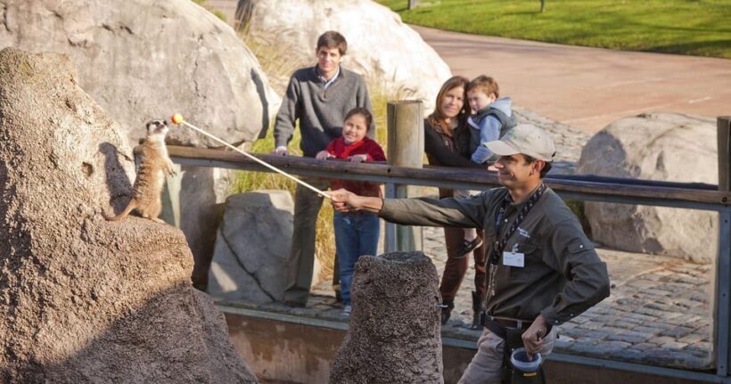 From Buenos Aires: Full-Day Temaiken Eco Park - The Value of This Tour: Is It Worth It?