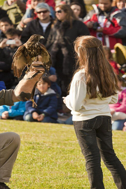 From Buenos Aires: Full-Day Temaiken Eco Park - Who Should Consider This Tour?