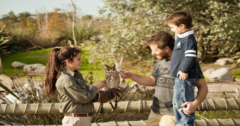 From Buenos Aires: Full-Day Temaiken Eco Park - The Sum Up: Is the Full-Day Temaiken Eco Park Tour a Good Choice?