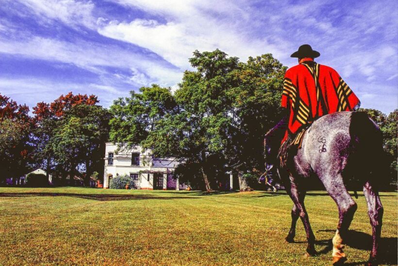 From Buenos Aires: Gaucho and Ranch Day Tour - Key Points