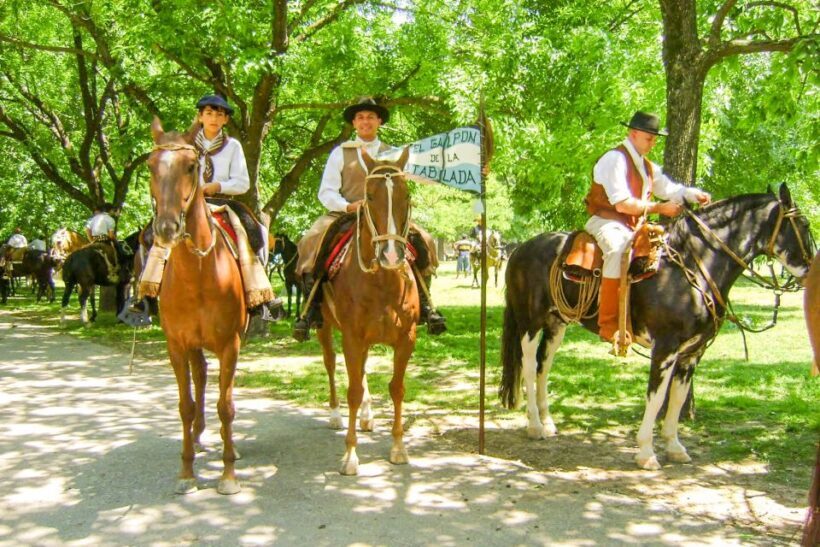 From Buenos Aires: Gaucho and Ranch Day Tour - Potential Drawbacks