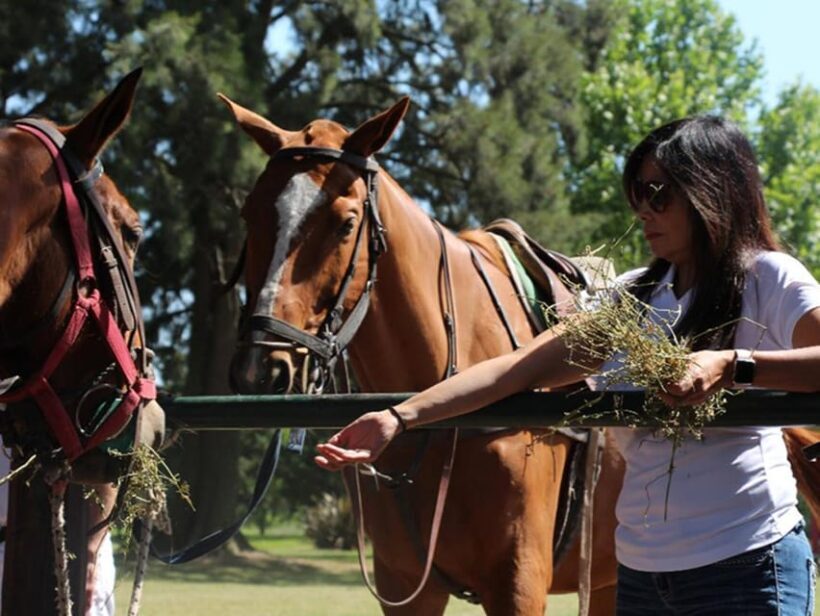 From Buenos Aires: Horseback Riding with BBQ - Final Thoughts: Is This Experience Worth It?