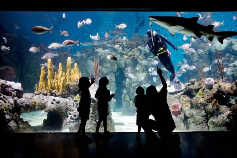 From Buenos Aires: Temaiken Zoo Tour with Ticket Included - Final Thoughts