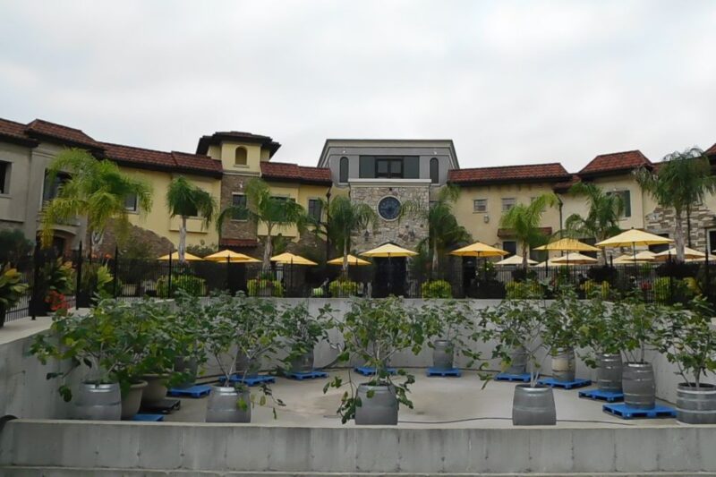 From Buffalo: Customizable Private Day Trip to Niagara Falls - Authentic Experiences That Make the Difference