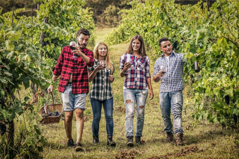 From Buffalo: Customizable Private Day Trip to Niagara Falls - The Value of a Private, Customizable Tour