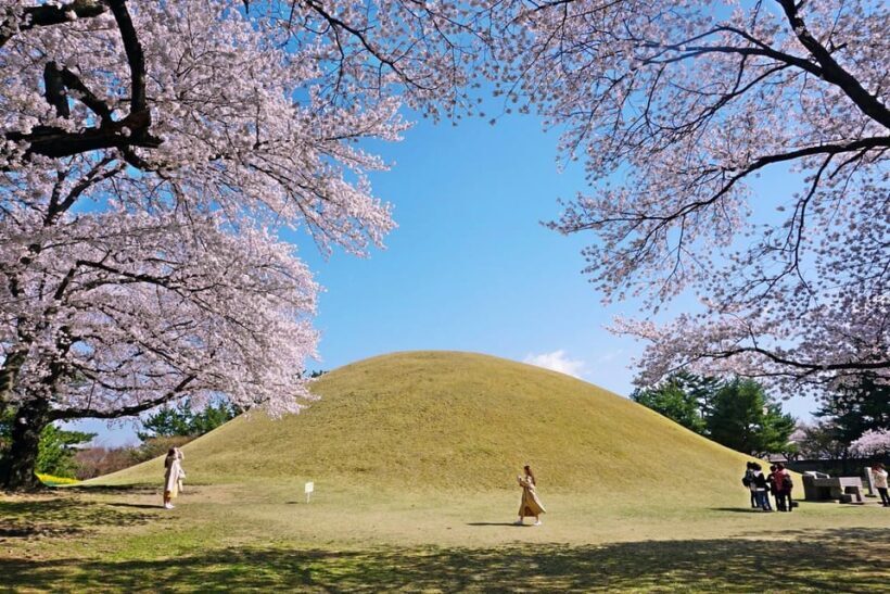 From Busan: Echoes of Silla Gyeongju Historical Day Tour - Final Thoughts
