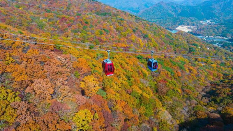 From Busan: Enchanting Oedo Island Day Tour with Windy Hill - Key Points