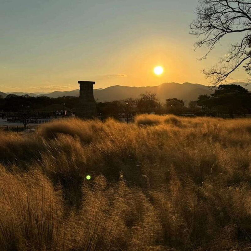 From Busan: Full-Day Private Yangdong village Gyeongju Tour - How the Experience Has Been Received