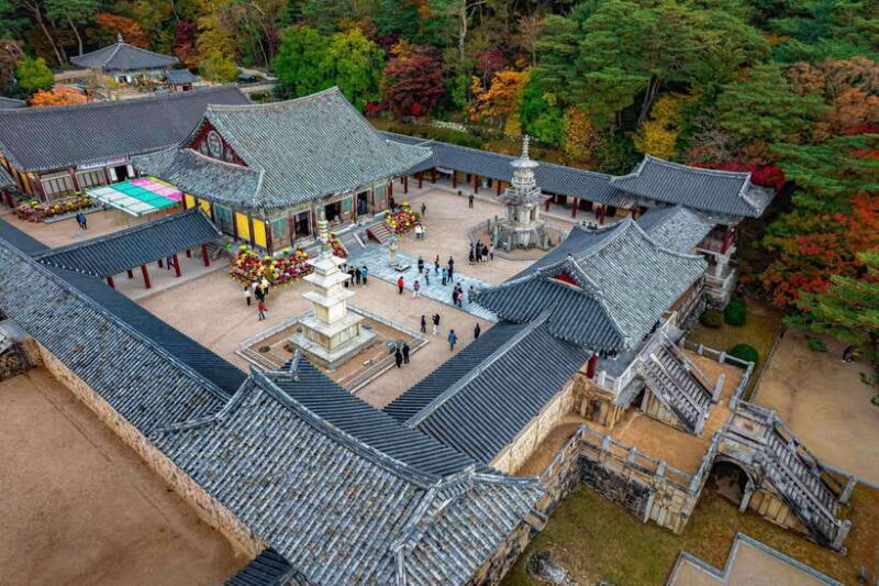 From Busan: Gyeongju Full-Day Historical Tour - The Charm of Hwangridan-gil and Local Streets