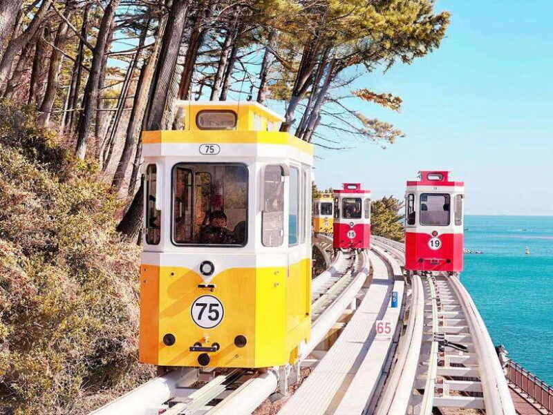 From Busan: Gyeongju Historical Day Tour with Sky Capsule - Transportation, Timing, and Overall Value