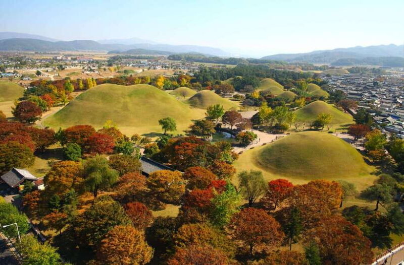 From Busan: Gyeongju UNESCO Guided Full-Day Tour - Who Would Enjoy This Tour?