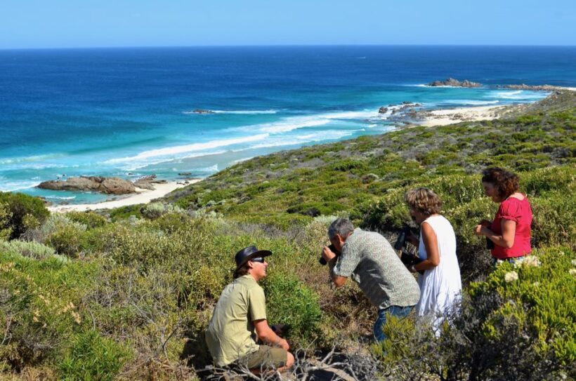 From Busselton: Half-Day Coastal and Wildlife Eco Tour - An In-Depth Look at the Experience