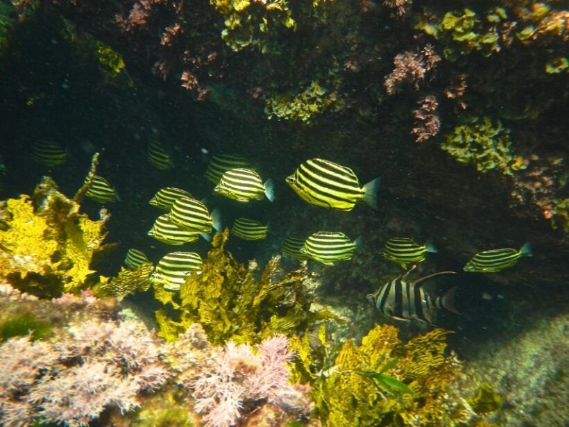 From Busselton: Half-Day Coastal and Wildlife Eco Tour - Final Thoughts