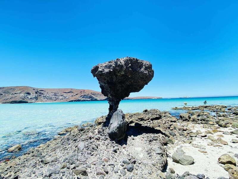 From Cabo/San José del Cabo: La Paz, Balandra & Todos Santos - A Detailed Look at the Tour Experience