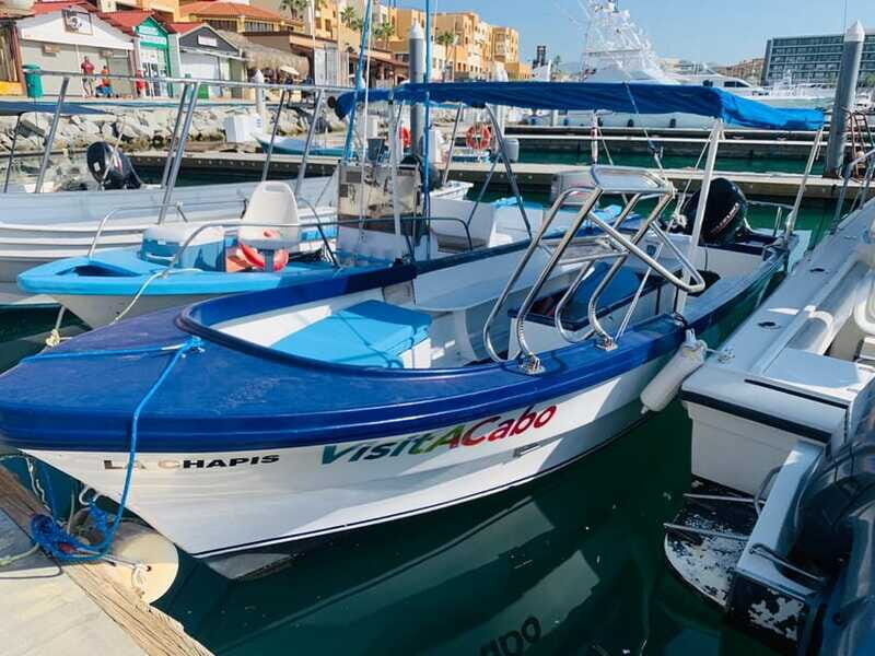 From Cabo San Lucas: Lovers Beach and El Arco Boat Trip - The Experience You’ll Love