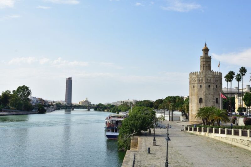 From Cádiz: Private Day Tour of Seville's Famous Landmarks - Accessibility and Flexibility