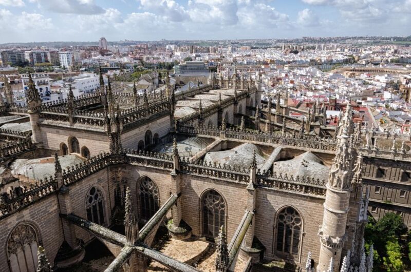 From Cadiz: Private Seville Day Trip, Cathedral & Alcazar - Authentic Experiences and Honest Impressions