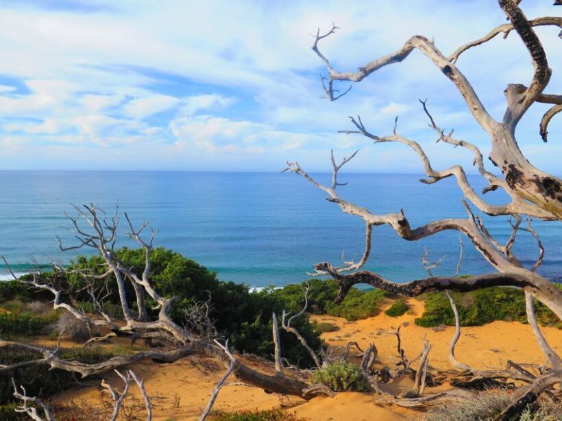 From Cagliari: Piscinas Old Mines and Montevecchio Tour - Final Thoughts: Is It Worth It?