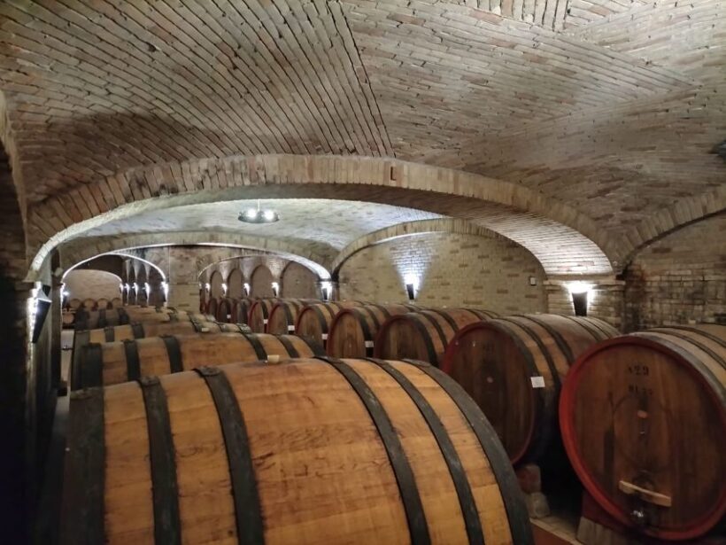 From Cagliari: Wine Cellar Tour with Tastings - Why This Tour Stands Out