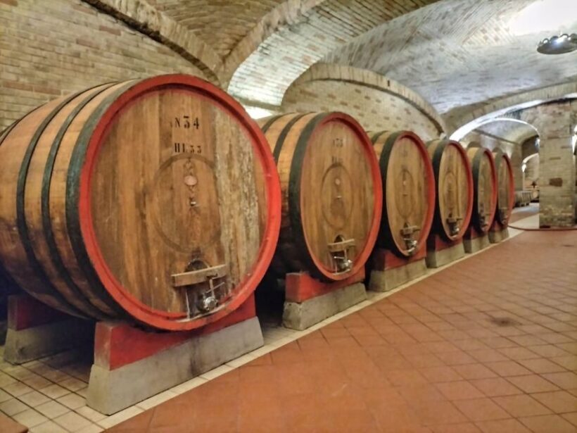 From Cagliari: Wine Cellar Tour with Tastings - Analyzing the Value