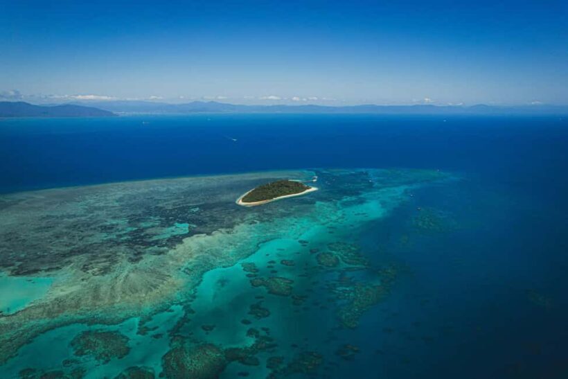From Cairns: 2 Islands 1 day - Fitzroy & Green Islands - The Itinerary and What to Expect