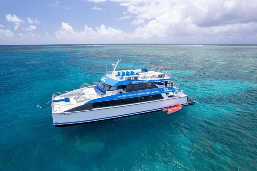From Cairns: 2 Islands 1 day - Fitzroy & Green Islands - The Reviews: Voices from the Field