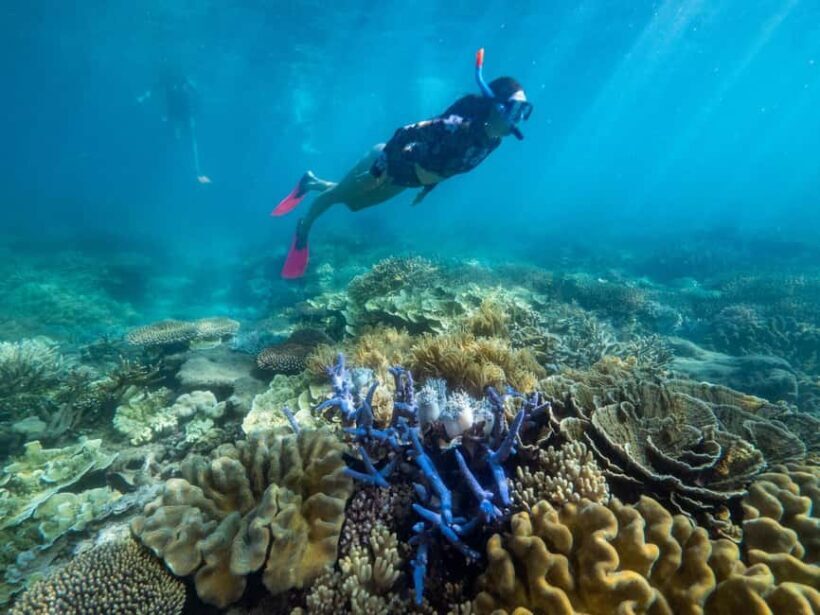 From Cairns: 2 Islands 1 day - Fitzroy & Green Islands - FAQ