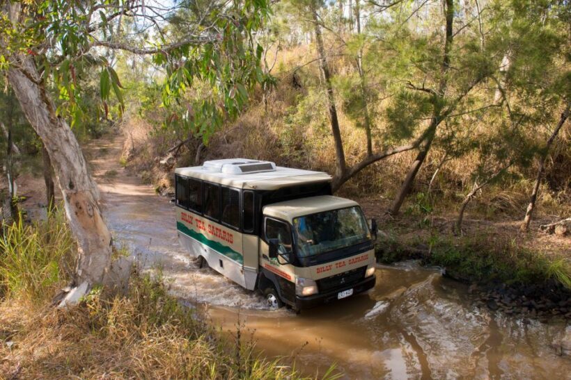 From Cairns: 3-Day Reef, Rainforest, and Outback Package - Key Points