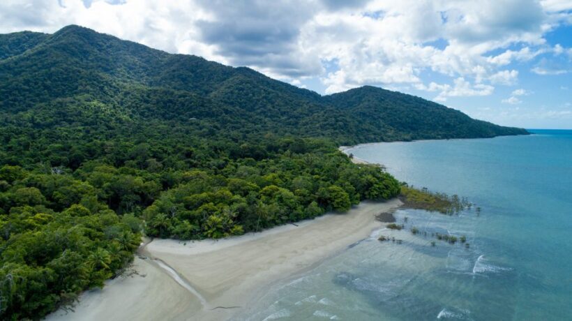 From Cairns: 3-Day Reef, Rainforest, and Outback Package - Authentic Experiences and Highlights