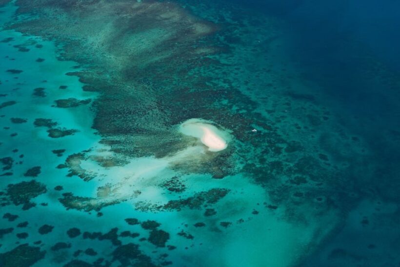From Cairns: 40-Min Scenic Reef Window Seat Airplane Flight - Key Points