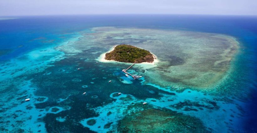 From Cairns: 40-Min Scenic Reef Window Seat Airplane Flight - Experience Overview: What to Expect