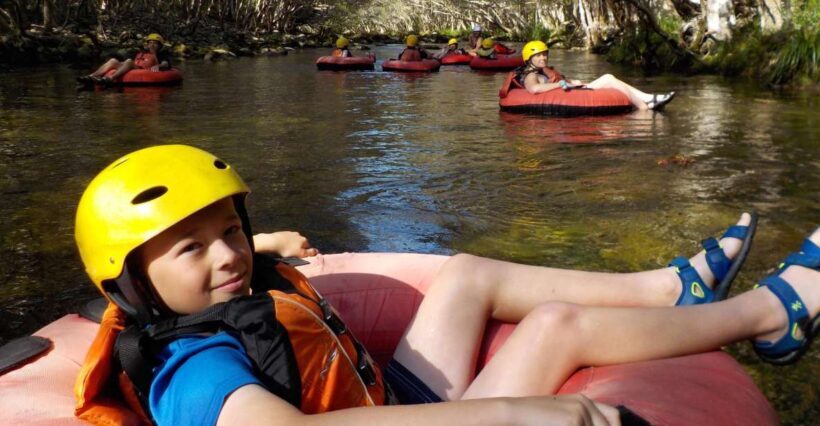 From Cairns and Northern Beaches: Rainforest River Tubing - Key Points
