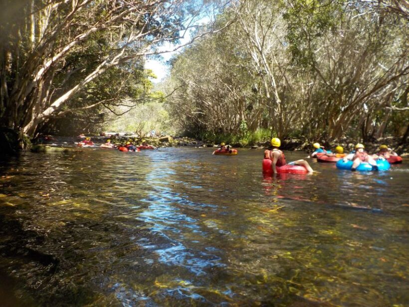 From Cairns and Northern Beaches: Rainforest River Tubing - Final Word