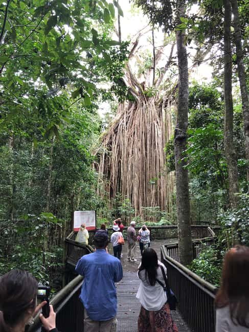 From Cairns: Atherton Tablelands and Paronella Park Day Trip - Final Return to Cairns