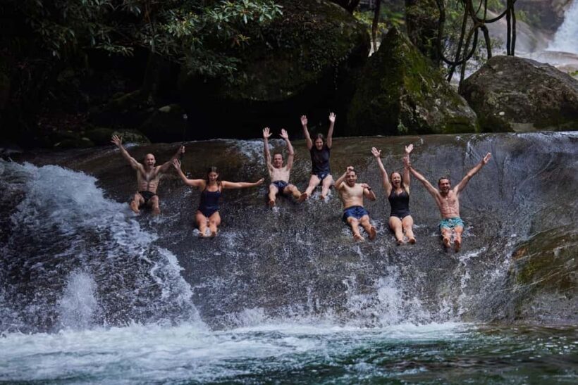 From Cairns: Atherton Tablelands Eco-Adventure & Swim Tour - Reviews and Feedback: What Travelers Say