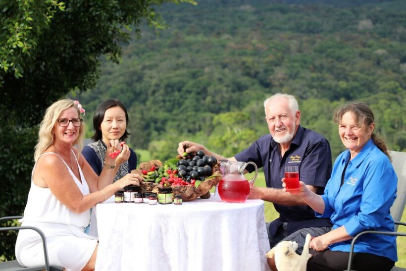 From Cairns: Atherton Tablelands Food and Wine Tasting Tour - Key Points