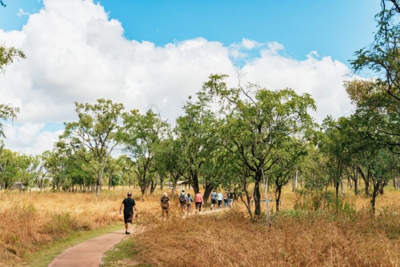 From Cairns: Chillagoe Caves and Outback Full-Day Tour - Key Points