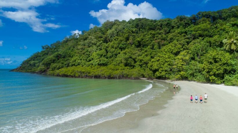 From Cairns: Daintree Rainforest & Cape Tribulation 4WD Tour - From Cairns: Daintree Rainforest & Cape Tribulation 4WD Tour