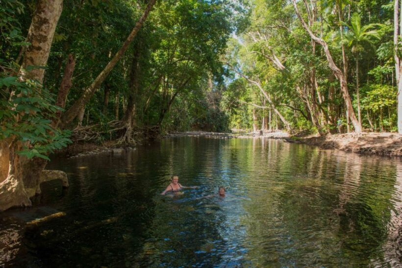 From Cairns: Daintree Rainforest & Cape Tribulation 4WD Tour - Value for Money