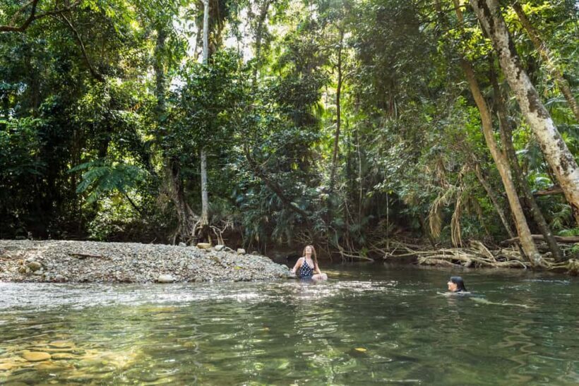 From Cairns: Daintree Rainforest & Cape Tribulation 4WD Tour - Authentic Experiences and Genuine Highlights