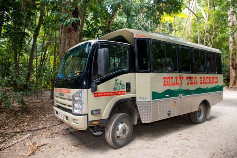 From Cairns: Daintree Rainforest & Cape Tribulation 4WD Tour - Who Should Consider This Tour?