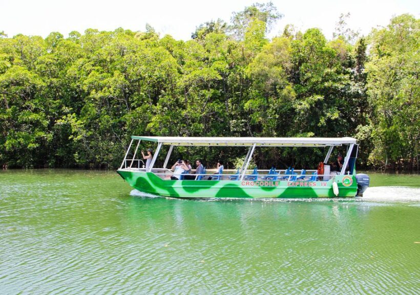 From Cairns: Daintree Wilderness & Cape Tribulation Bus Tour - What to Expect on the Tour