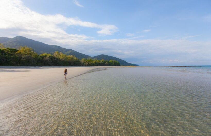 From Cairns: Daintree Wilderness & Cape Tribulation Bus Tour - Final Word: Who Will Love This Tour?