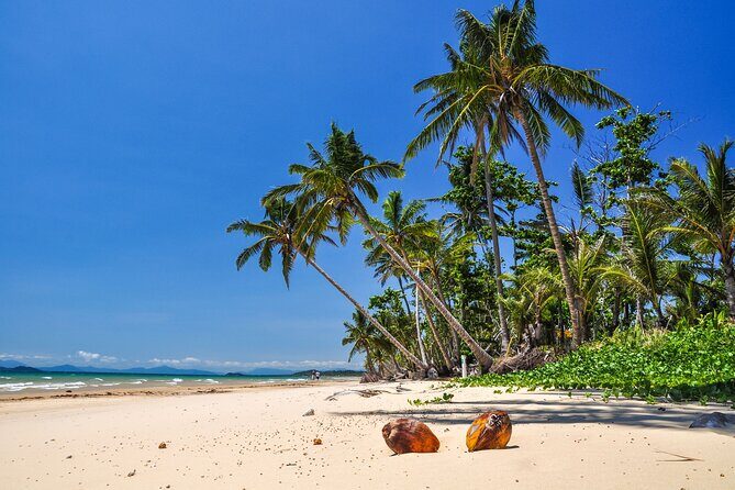 From Cairns: Dunk Island Day Tour - Key Points