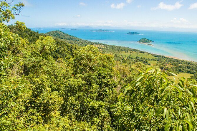 From Cairns: Dunk Island Day Tour - How the Experience Feels