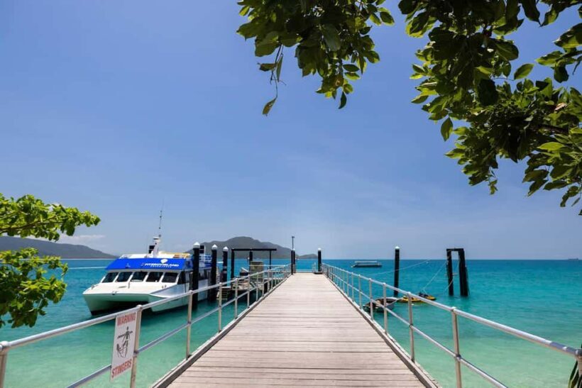 From Cairns: Fitzroy Island Day Trip by Ferry - Key Points