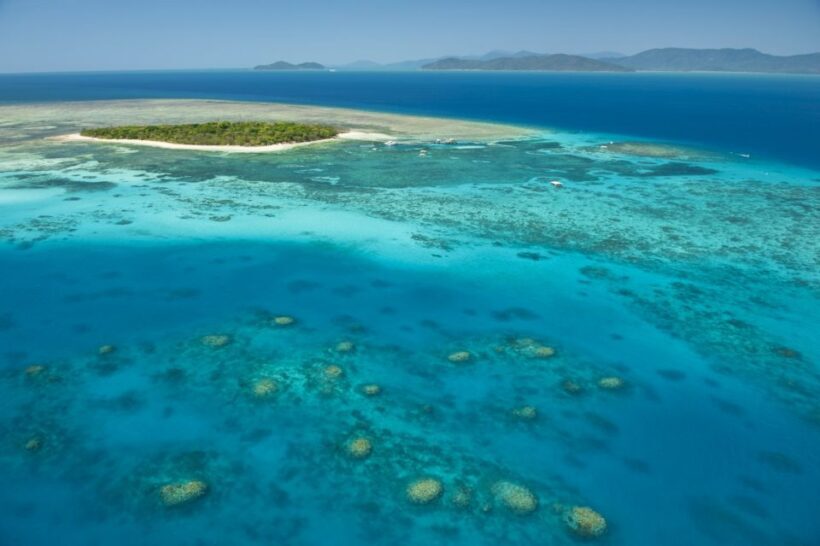 From Cairns: Full-Day Green Island Cruise - An Overview of the Experience